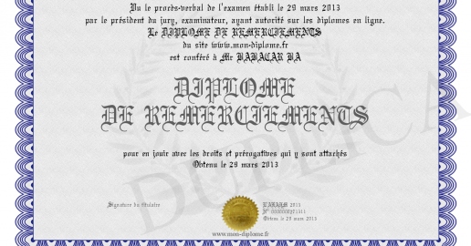 DIPLOME DE REMERCIEMENTS