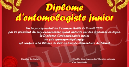 Diplome d entomologiste junior