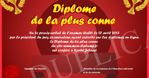 Diplome de la plus conne