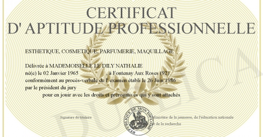 CERTIFICAT D APTITUDE PROFESSIONNELLE
