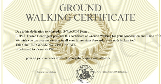 GROUND WALKING CERTIFICATE