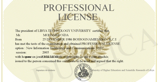 PROFESSIONAL LICENSE