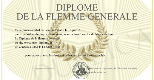 Diplome de la flemme generale