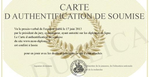 Carte d authentification de soumise