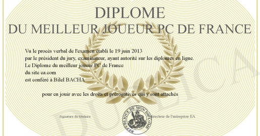 Diplome du meilleur joueur PC de France