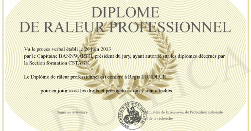 Diplome de raleur professionnel