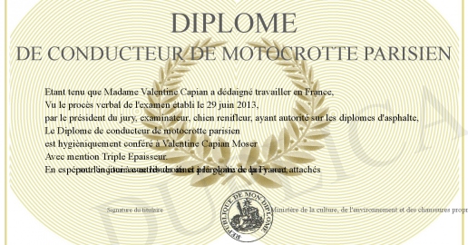 Diplome de conducteur de motocrotte parisien