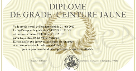 Diplome de grade: CEINTURE JAUNE