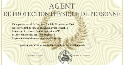 Agent de protection physique de personne