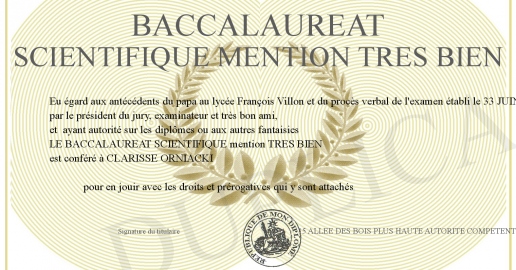 BACCALAUREAT SCIENTIFIQUE mention TRES BIEN