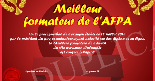 Meilleur formateur de l AFPA