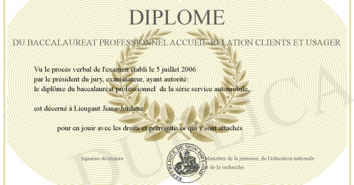 Diplome du baccalaureat professionnel accueil-relation clients et usager