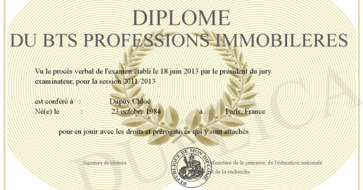 Diplome du BTS professions immobileres