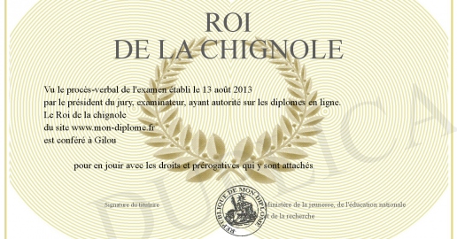 Roi de la chignole