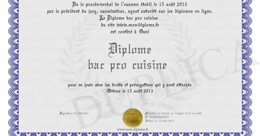 Diplome bac pro cuisine