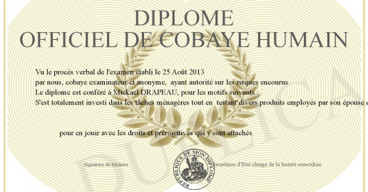 DIPLOME OFFICIEL de COBAYE HUMAIN