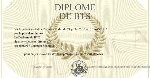 Diplome de BTS