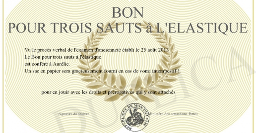 Bon pour trois sauts a l elastique