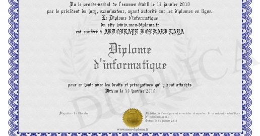 Diplome d informatique