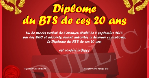 Diplome du BTS de ces 20 ans