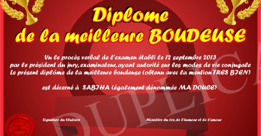 Diplome de la meilleure BOUDEUSE