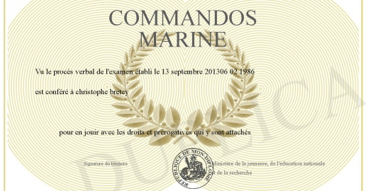 Commandos marine