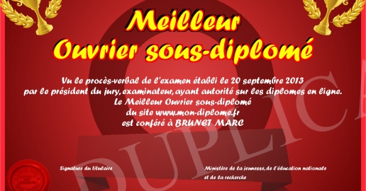 Meilleur Ouvrier sous-diplome
