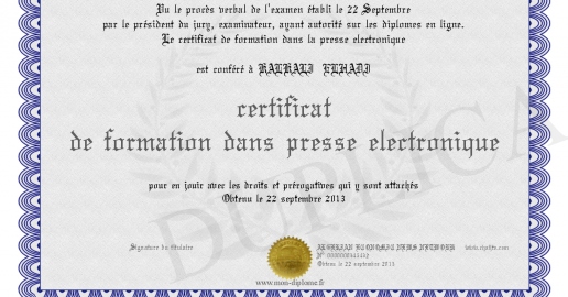 certificat de formation dans presse electronique