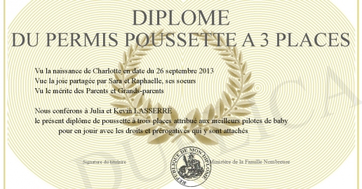 Diplome du permis poussette a 3 places