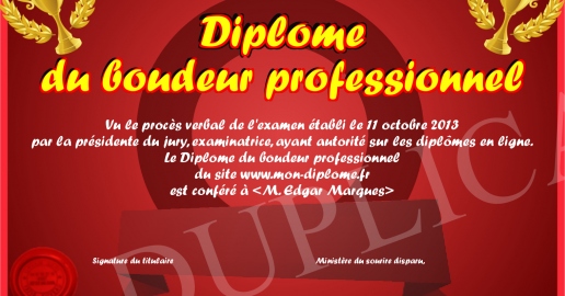 Diplome du boudeur professionnel