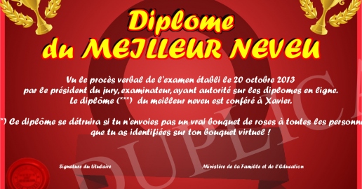 Diplome du MEILLEUR NEVEU