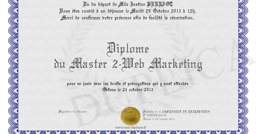 Diplome du Master 2-Web Marketing