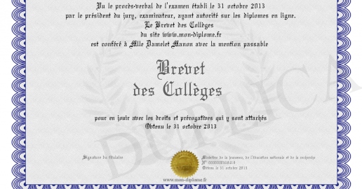 Brevet des Colleges