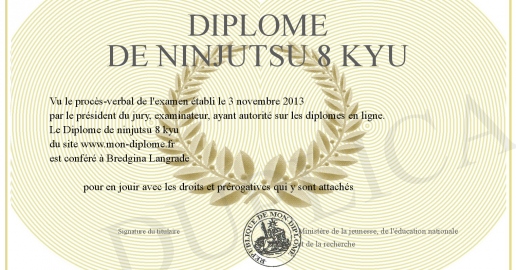 Diplome de ninjutsu 8 kyu