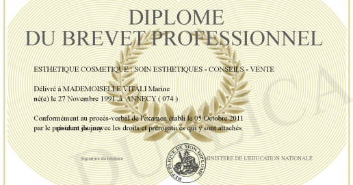 Diplome du BREVET PROFESSIONNEL