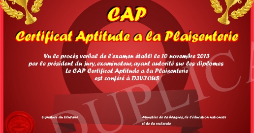 CAP Certificat Aptitude a la Plaisenterie