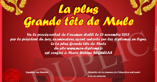 La plus Grande tete de Mule