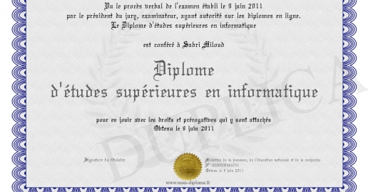 Diplome d etudes superieures en informatique