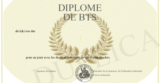 Diplome de BTS