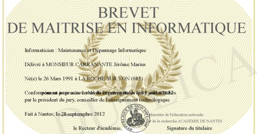 BREVET DE MAITRISE EN INFORMATIQUE