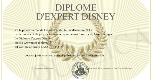 Diplome d expert Disney