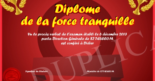 Diplome de la force tranquille