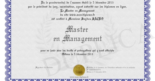 Master en Management