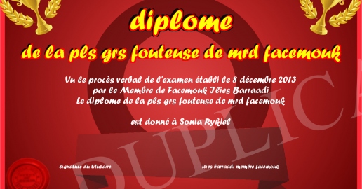 diplome de la pls grs fouteuse de mrd facemouk