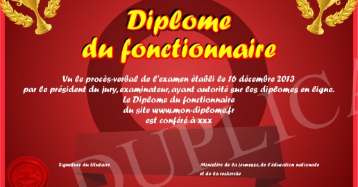 Diplome du fonctionnaire