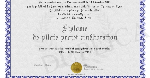 Diplome de pilote projet amelioration