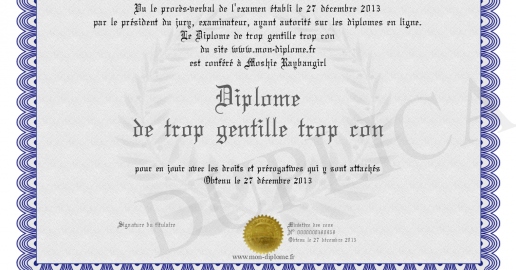 Diplome de trop gentille trop con