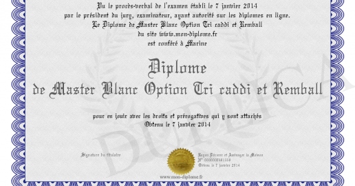 Diplome de Master Blanc Option Tri caddi et Remball