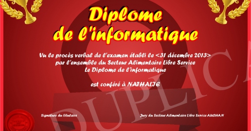 Diplome de l informatique