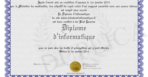 Diplome d informatique